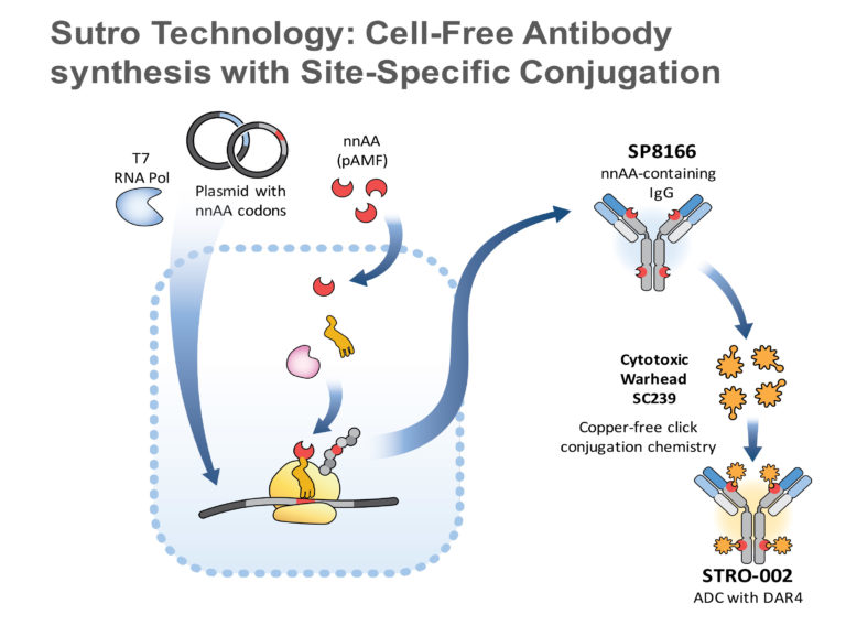 American Association for Cancer Research (AACR) 2018 – STRO-002 ...