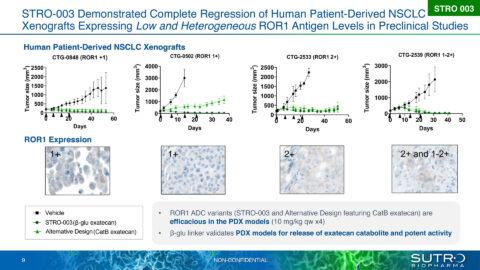 Sutro Biopharma, Inc. is a public biotechnology company focused on ...
