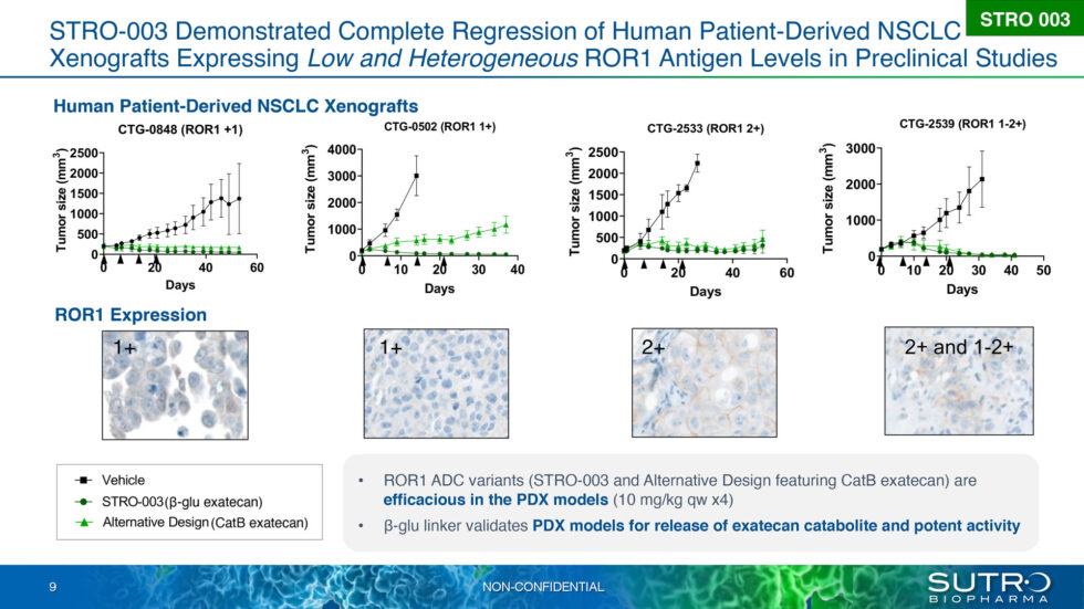 Sutro Biopharma, Inc. is a public biotechnology company focused on ...