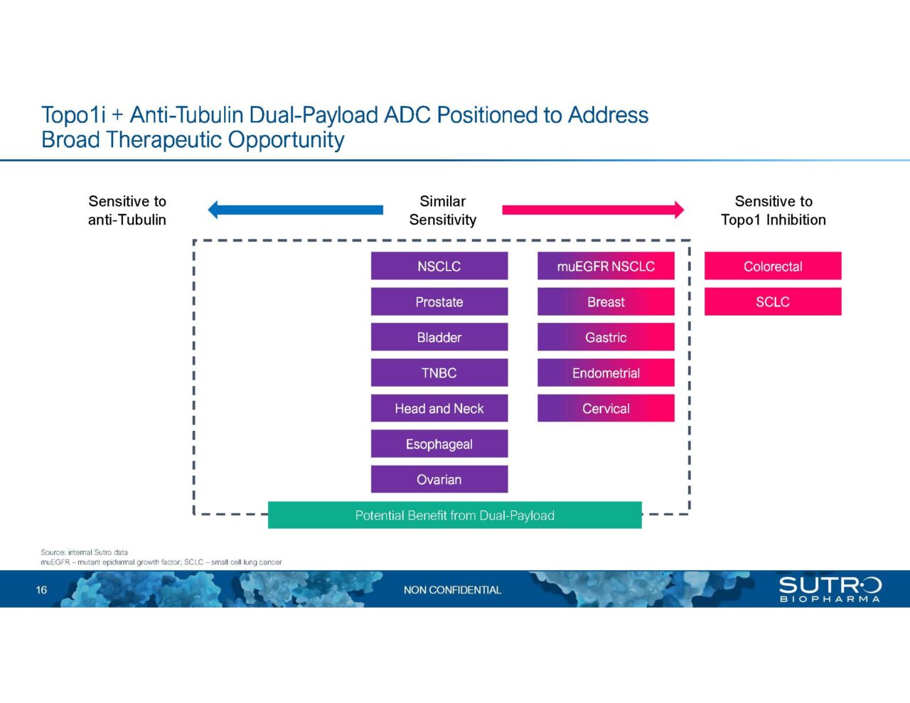 15th Annual World ADC Conference – Presentations | Sutro Biopharma, Inc.