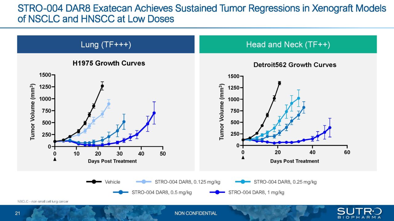 Jefferies London Healthcare Conference – Presentation | Sutro Biopharma ...